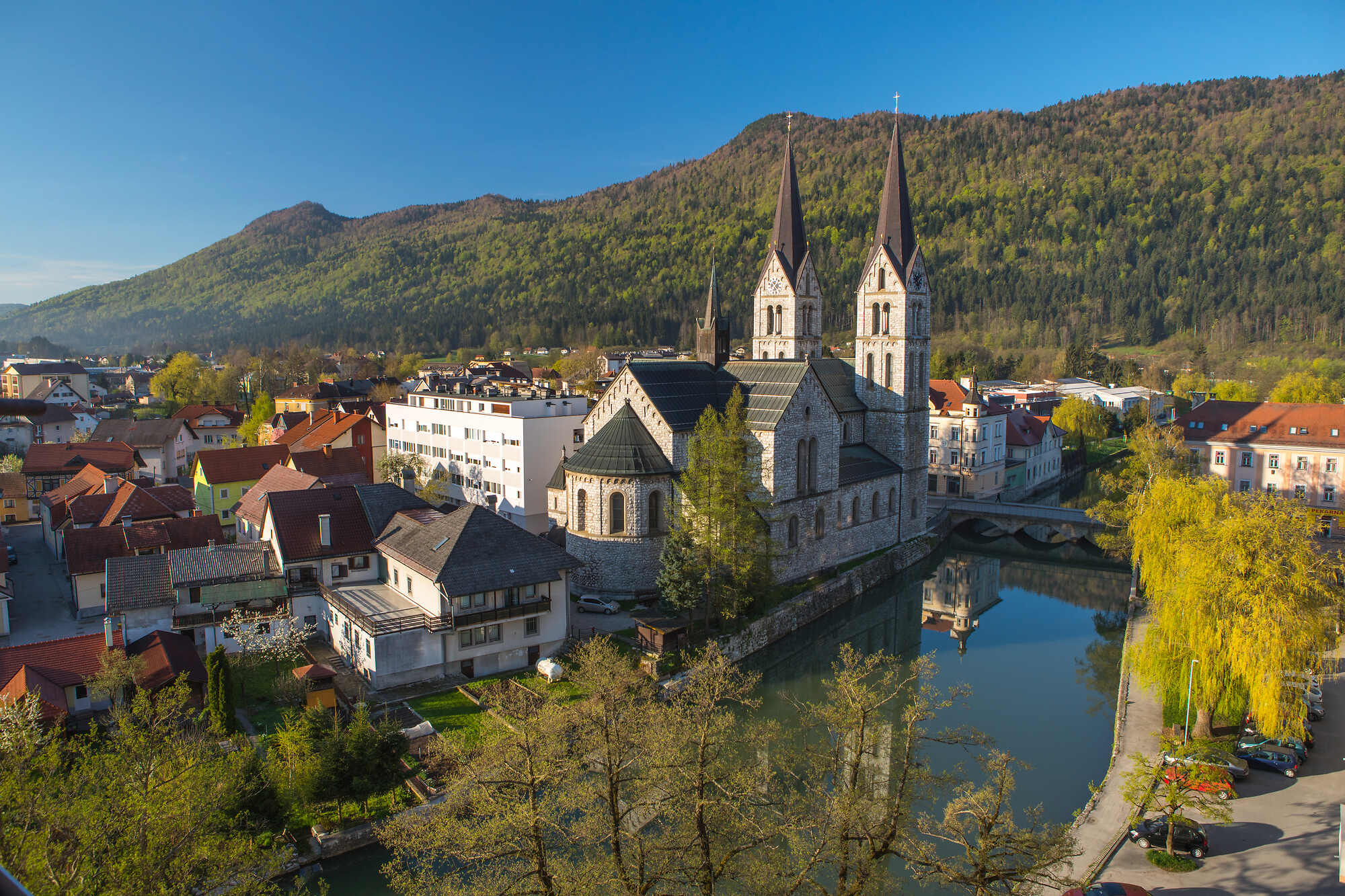 Kočevsko: the mysterious forest of Slovenia