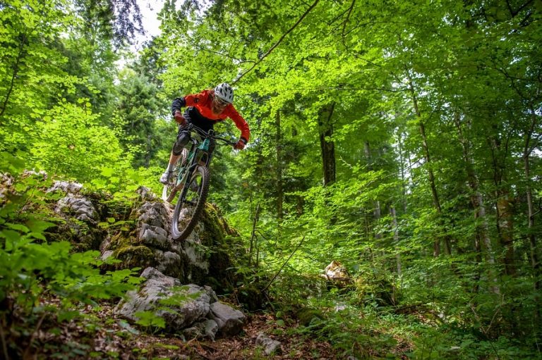 Kočevsko: the mysterious forest of Slovenia